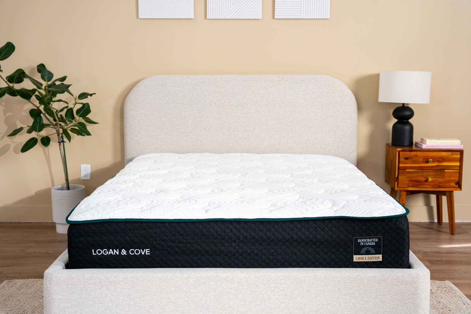 Logan and Cove Mattress Review - Best Sleep Society